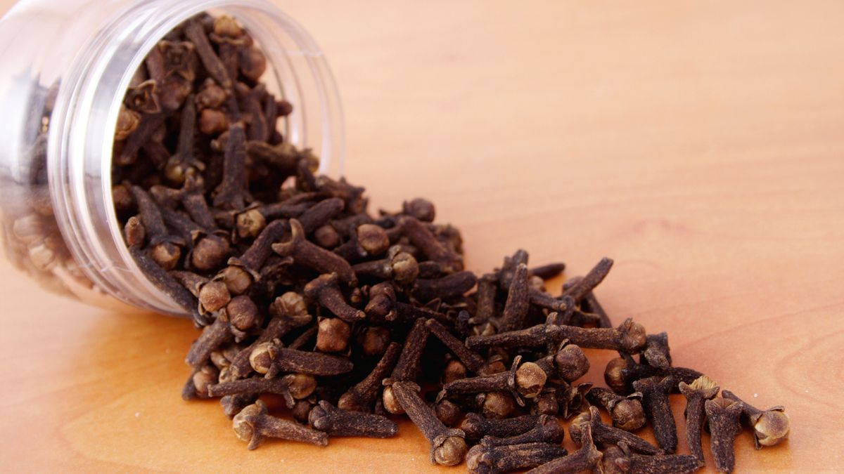 Aromatherapy: Clove | HowStuffWorks
