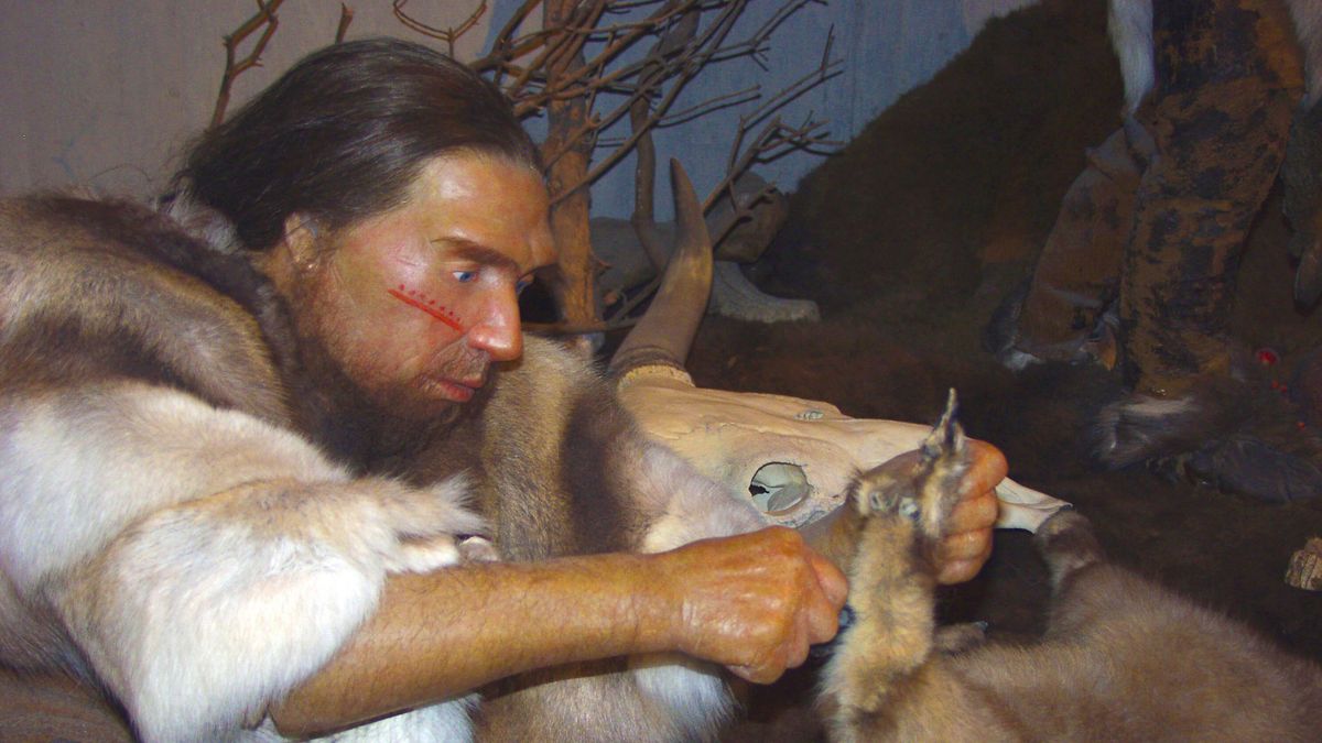 Yes, Neanderthals Could Laugh | HowStuffWorks