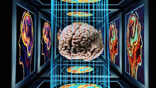 Inside the Mind | HowStuffWorks | Page: 3