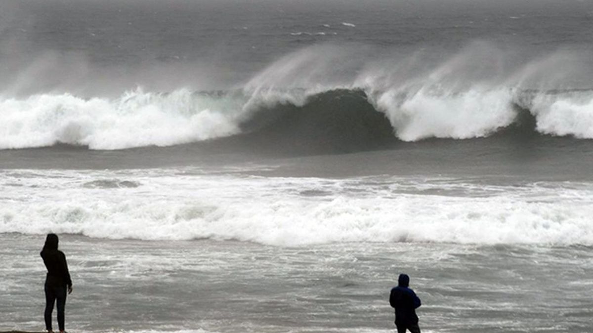 Scientists Warn Climate Change Is Suffocating the World's Oceans ...