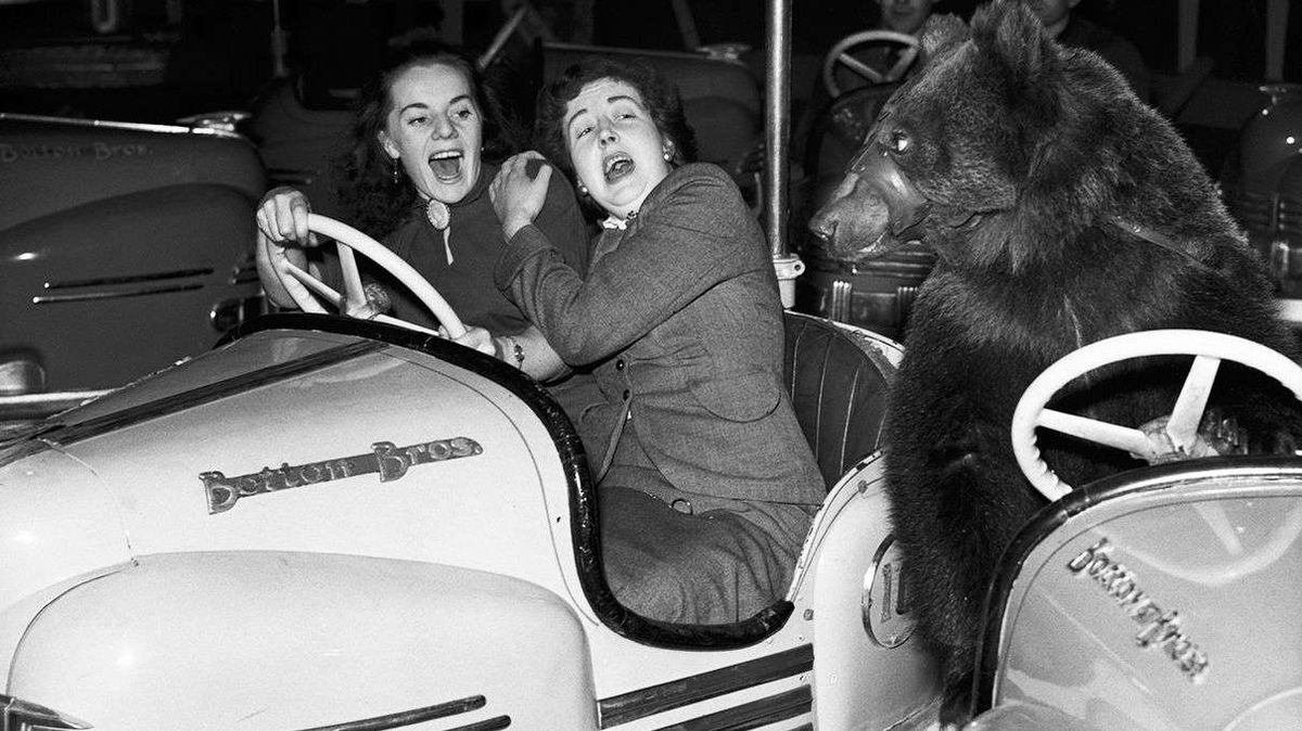 Why Humans Scream, Make Crazy Faces When Terrified | HowStuffWorks