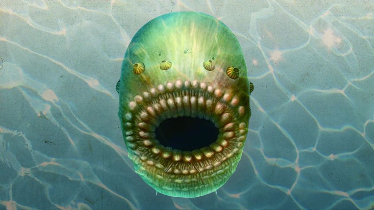 Cool Microscopic Organisms