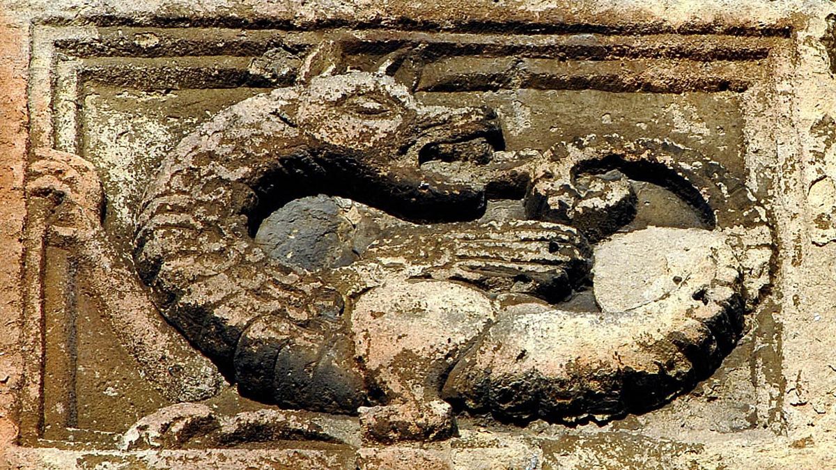 Ouroboros: A Snake That Eats Itself (and Why) | HowStuffWorks