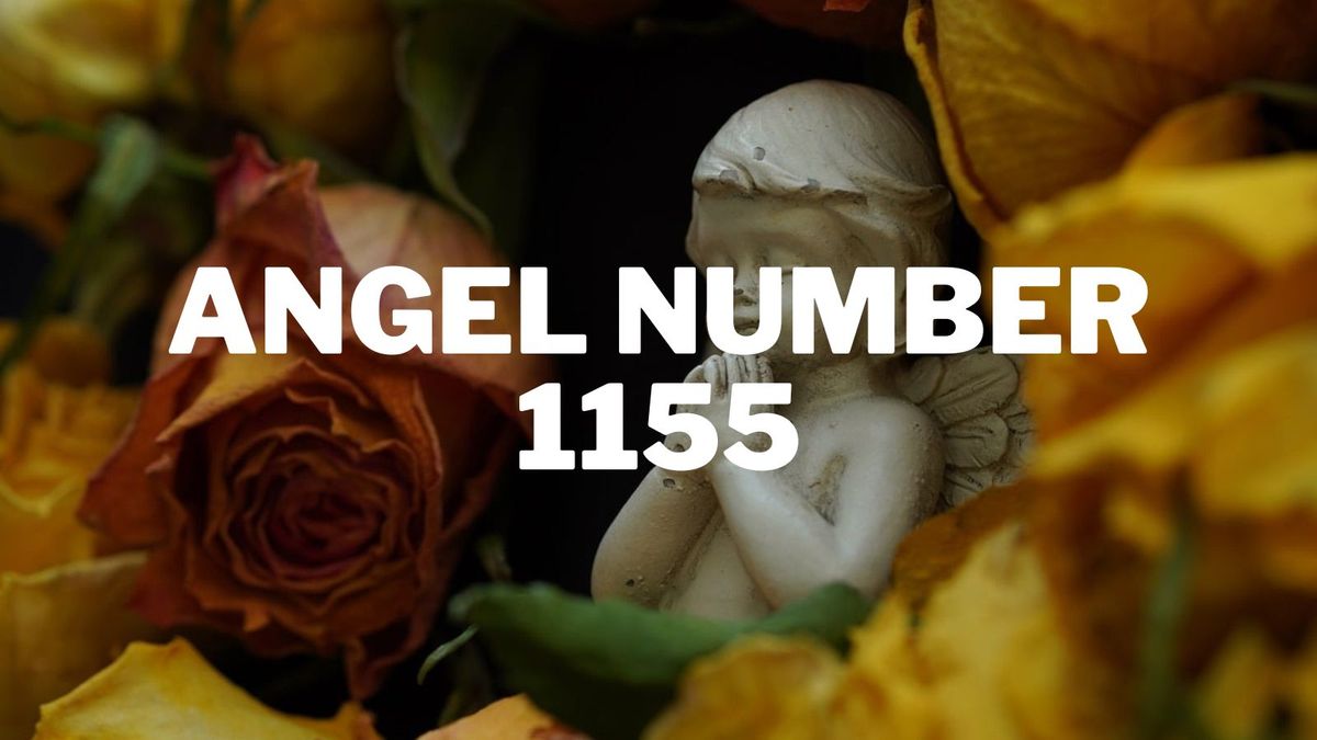 Decoding the 1155 Angel Number: How It Can Transform Your Life and ...