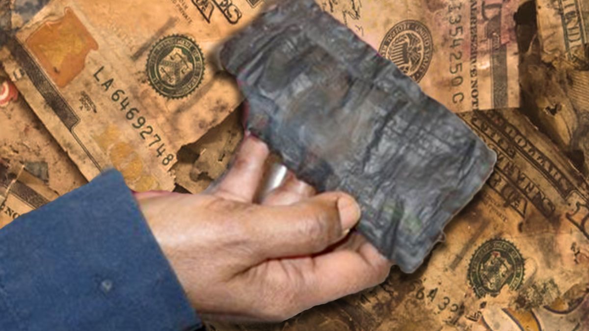 If Your U.S. Money Gets Shredded, You're Not SOL | HowStuffWorks