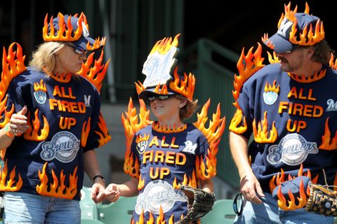 Crazy Baseball Fans