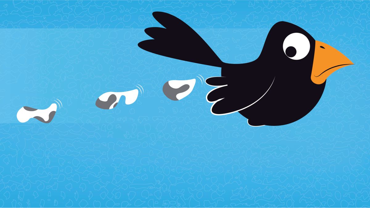 The Spiritual Significance of Bird Poop: Myth or Reality? | HowStuffWorks