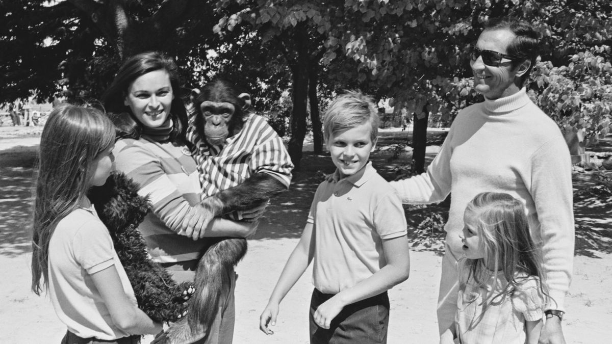 5 Chimps Who Grew Up in Human Families | HowStuffWorks