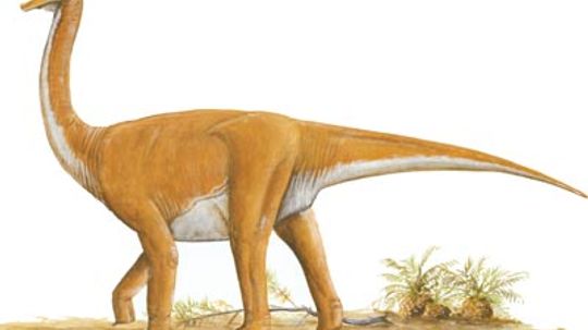 Dinosaurs | HowStuffWorks | Page: 3