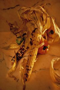 Everything You Ever Wanted to Know About Indian Corn | HowStuffWorks