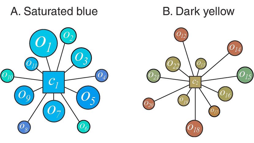 Science Explains Why We Have Favorite Colors FactsandHistory