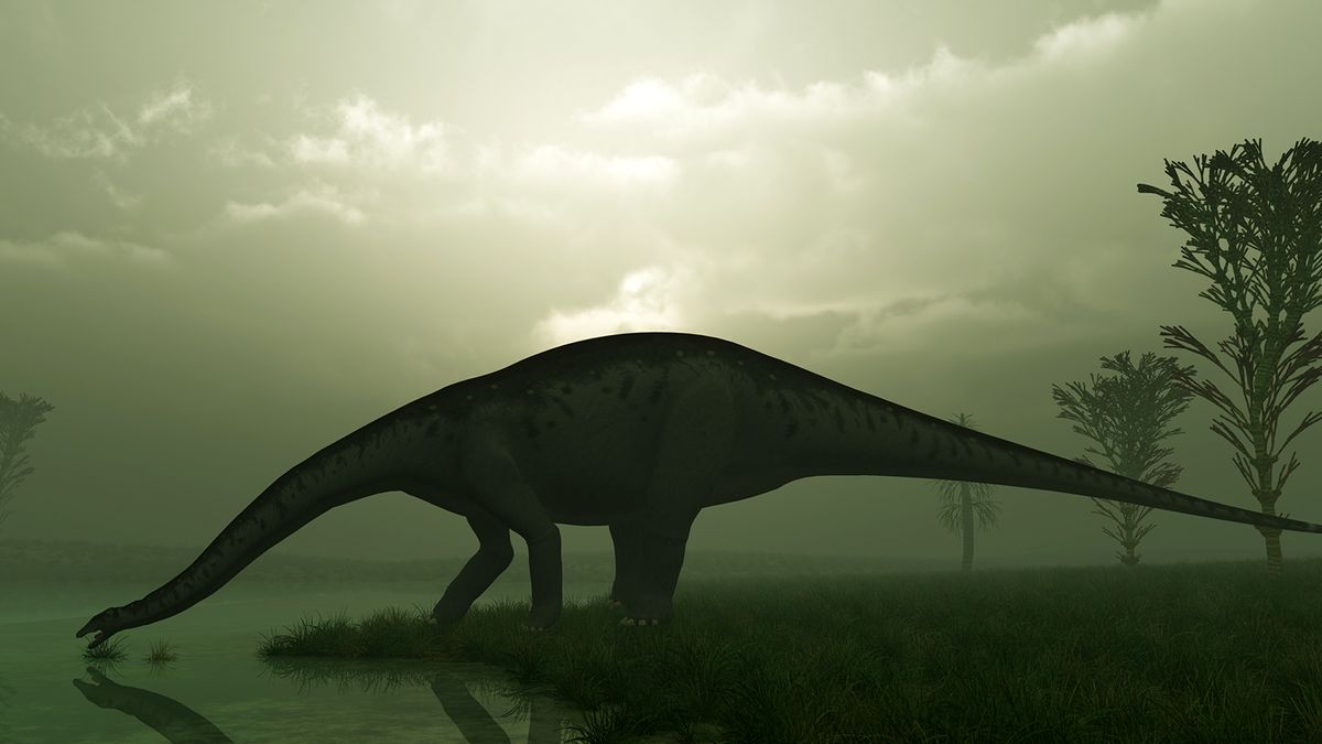 Brontosaurus vs. Brachiosaurus: Comparing Long Necks | HowStuffWorks