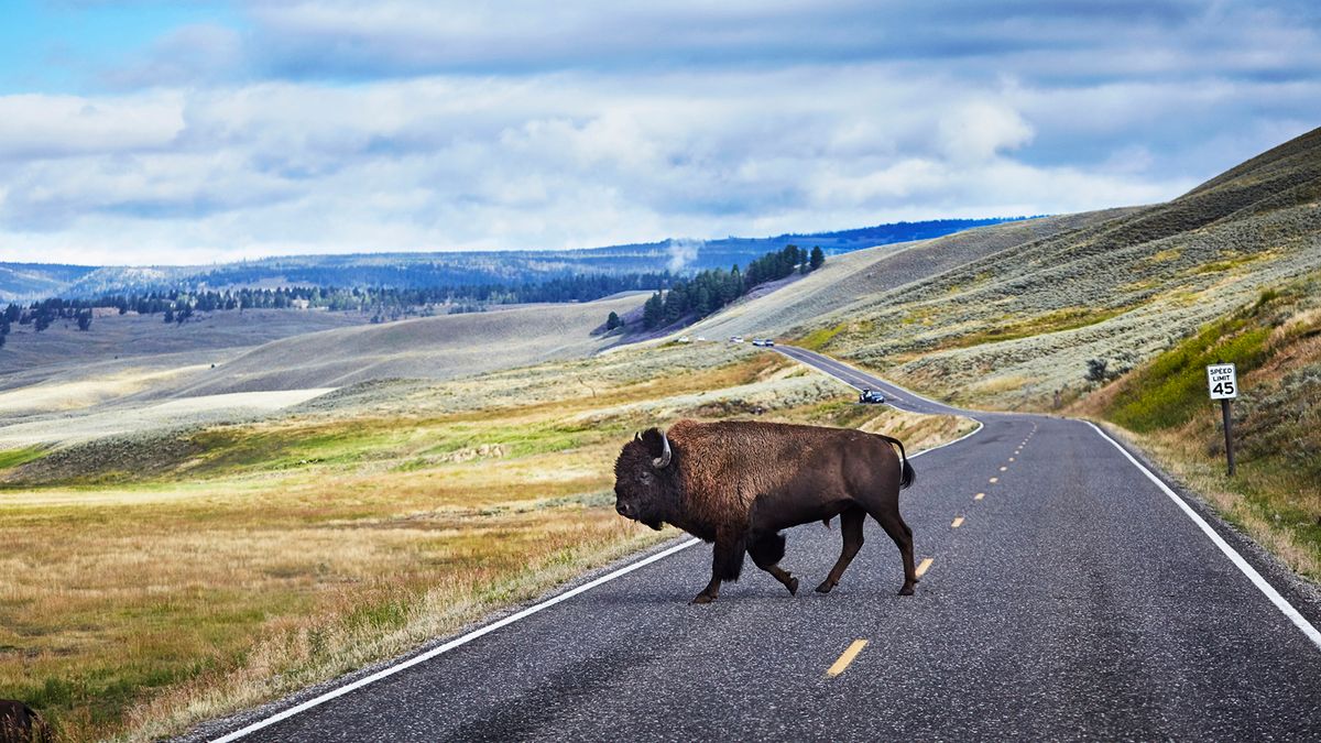 The Longest Road in the U.S. Passes Through a National Park | HowStuffWorks