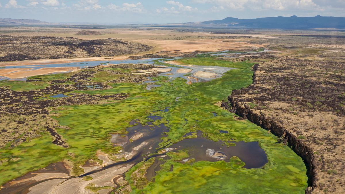 Is Africa Splitting in Two? Really? Here's the Scoop | HowStuffWorks