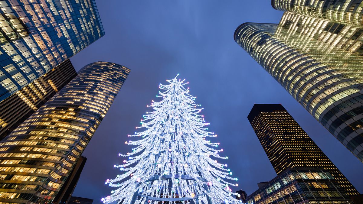 The Biggest Christmas Tree in the World Was 20 Stories Tall | HowStuffWorks