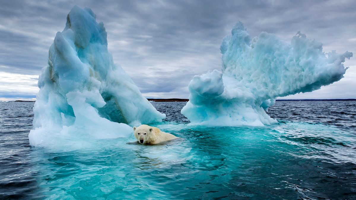What Is the Arctic Circle? 9 Stone-cold Facts About the Region ...