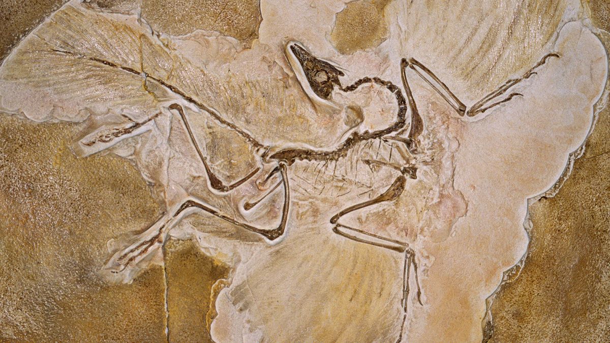 12 Extinct Animals That Once Roamed the Earth | HowStuffWorks