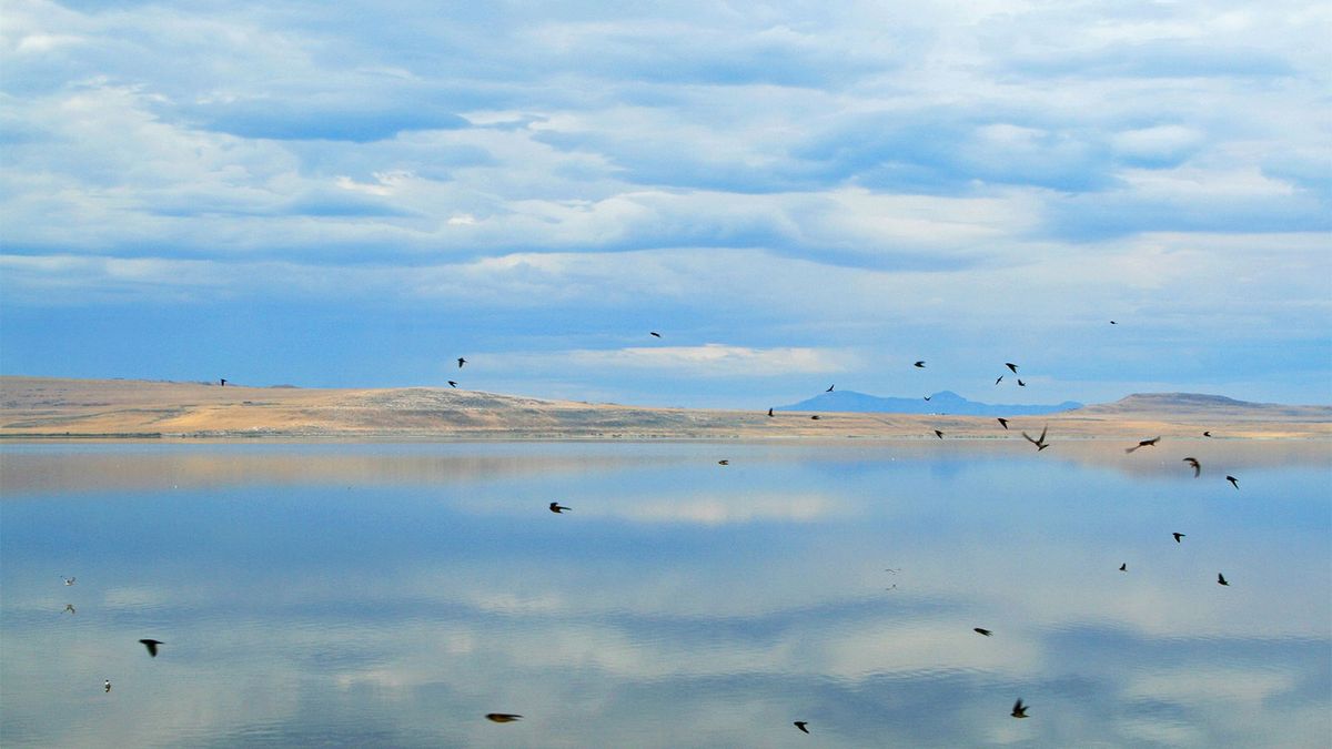 Utah's Fabled Great Salt Lake Is Shrinking | MapQuest Travel