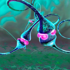 How does the body make electricity -- and how does it use it ...