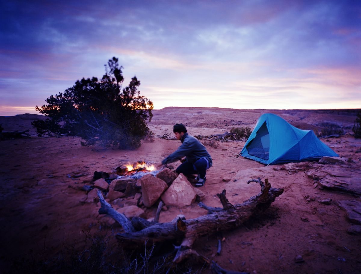 How Human Rewilding Works | MapQuest Travel