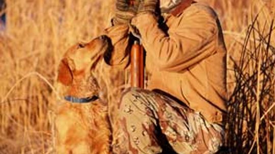Traditional Hunting Methods | MapQuest Travel