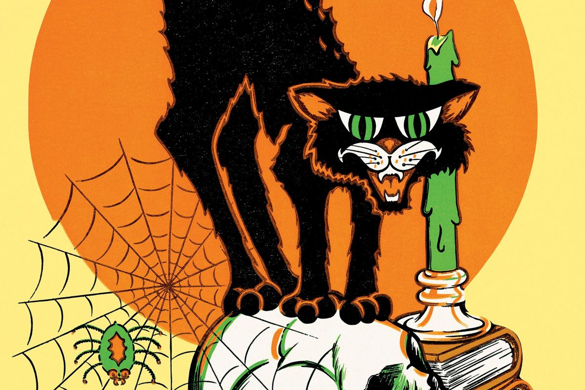 Bats, Cats and Spiders: Halloween's Animal Kingdom Quiz | HowStuffWorks