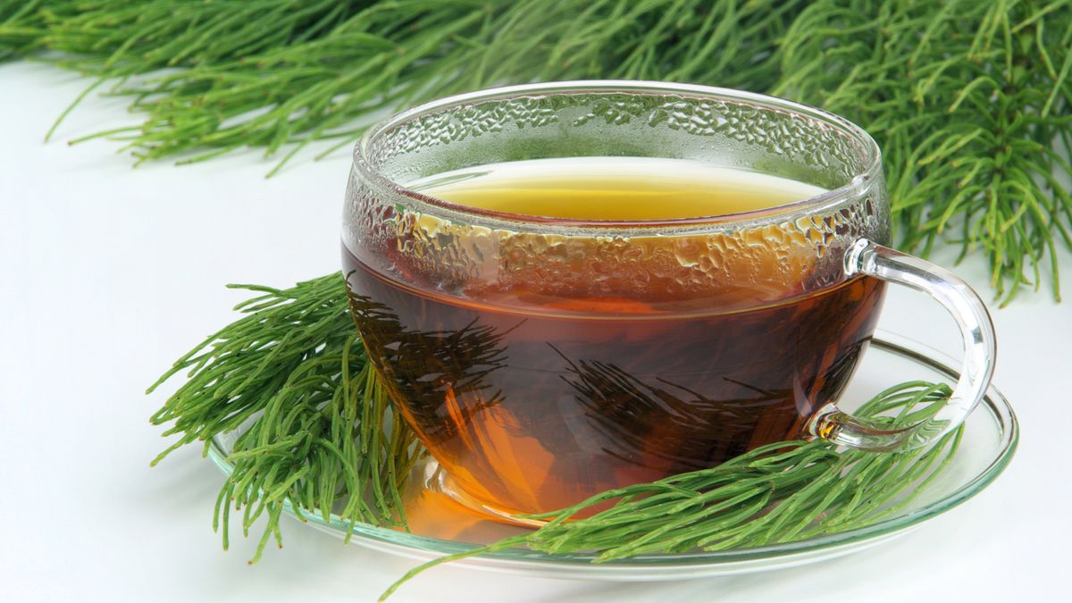 Herbal Remedies for Urinary Tract Infections | HowStuffWorks