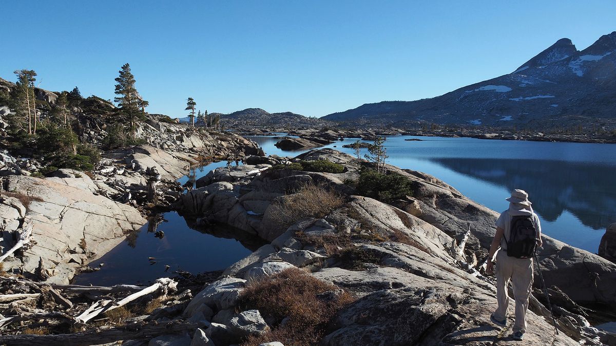 The 'Wild' Effect? Why Hiking Is Surging in Popularity in the U.S ...