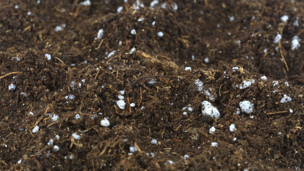 Perlite: It's Like Popcorn for Your Potting Soil! | HowStuffWorks