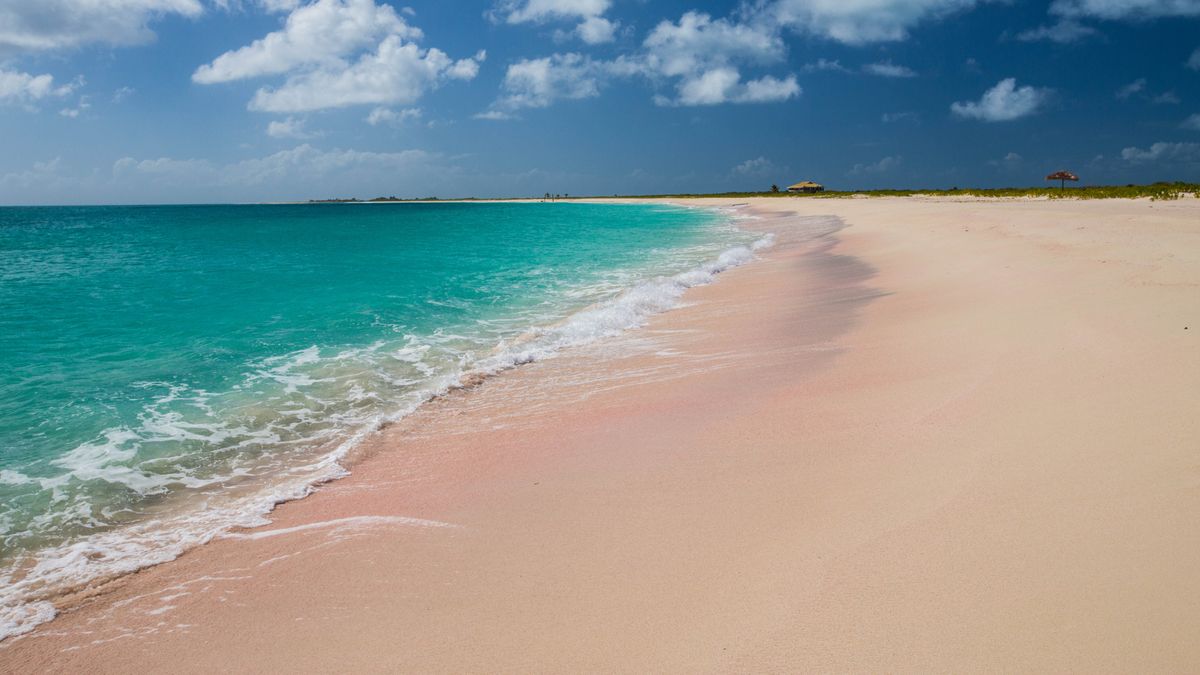 The Enchanting World of Pink Sand Beaches: A Unique Coastal Wonder ...