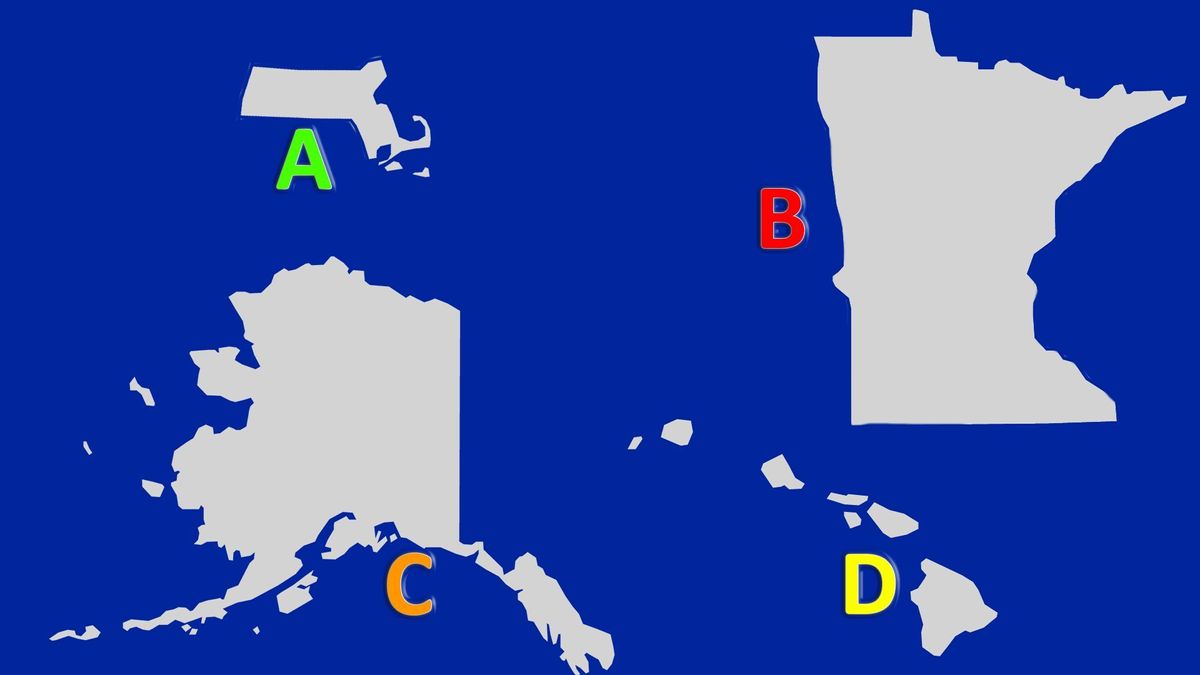 Can You Find All of These States on a Map? | Zoo