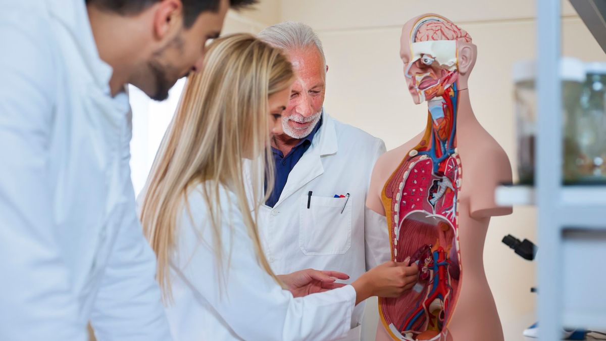 the-human-body-quiz-howstuffworks