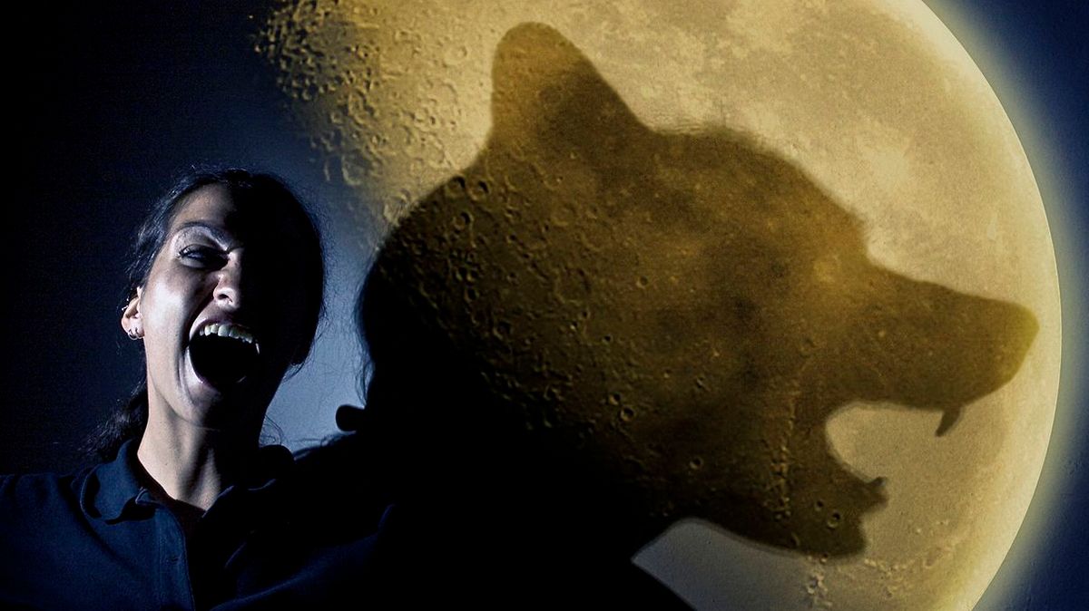 What Mythical Creature Do You Turn Into at the Full Moon? | Zoo