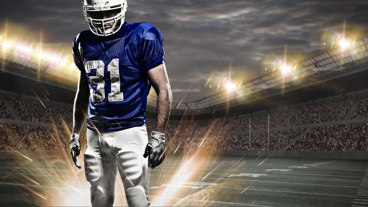 Can you match the city to its NFL team? | Zoo