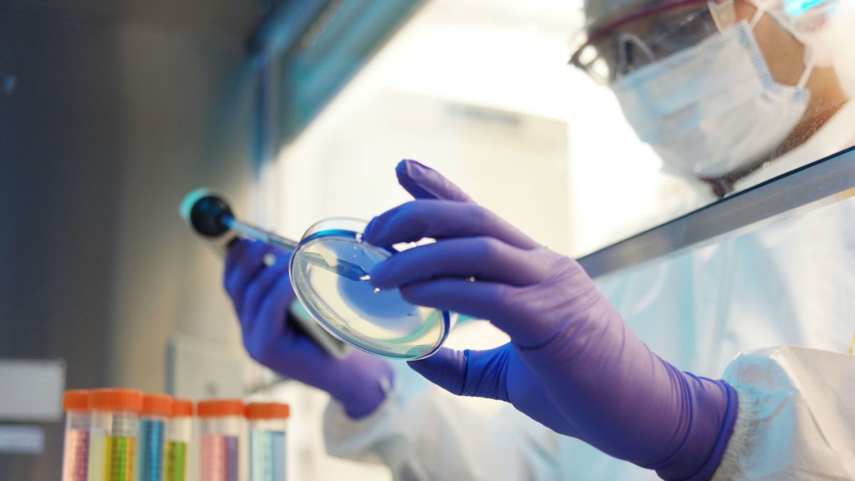 The Laboratory Safety Quiz | HowStuffWorks