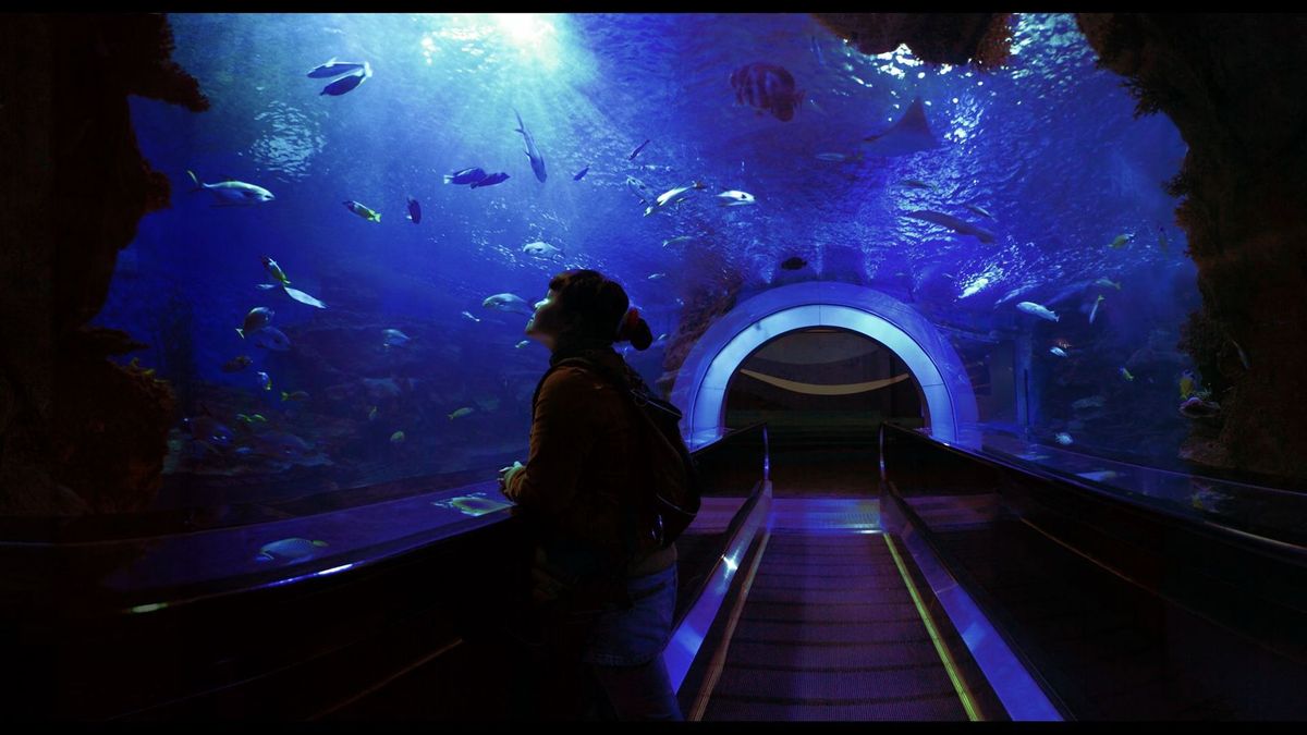 On a Scale From 1 to 10, How Deep Are You? | HowStuffWorks