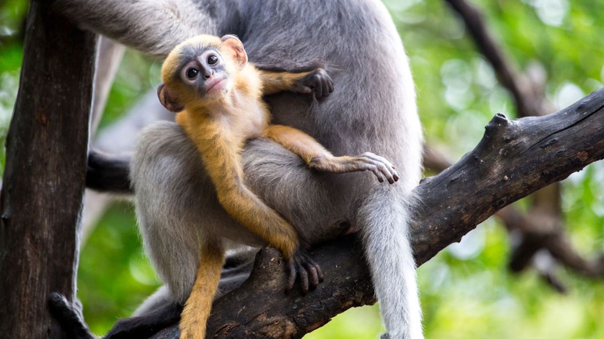 Do You Know if These Common Facts About Animals Are True or False? | Zoo