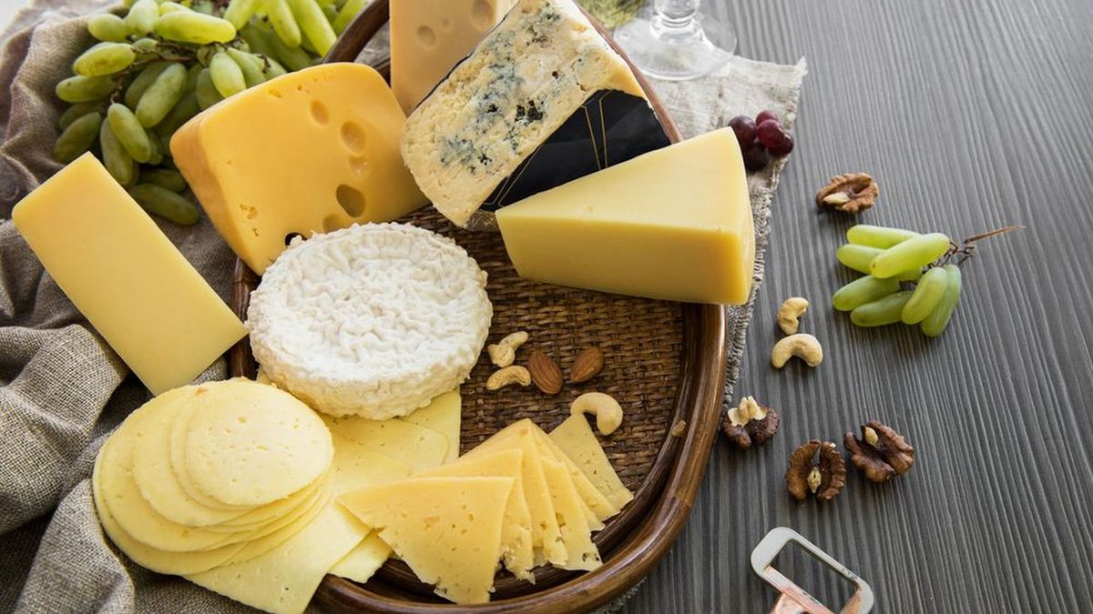 What Kind of Cheese Are You? | Zoo