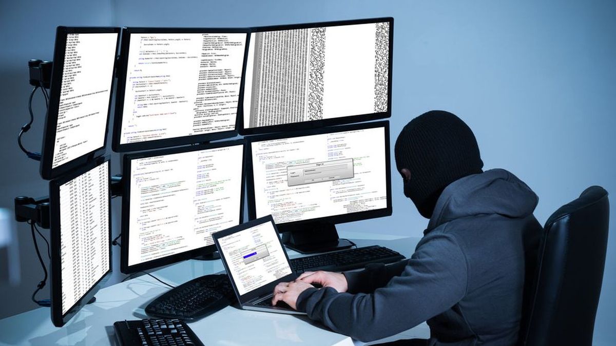 How well do you know the history of hackers and hacking? | Zoo