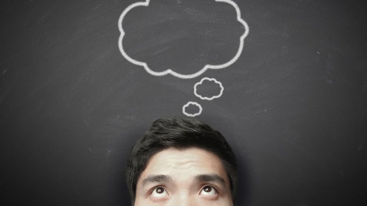 What Type of Thinker are You? | Zoo