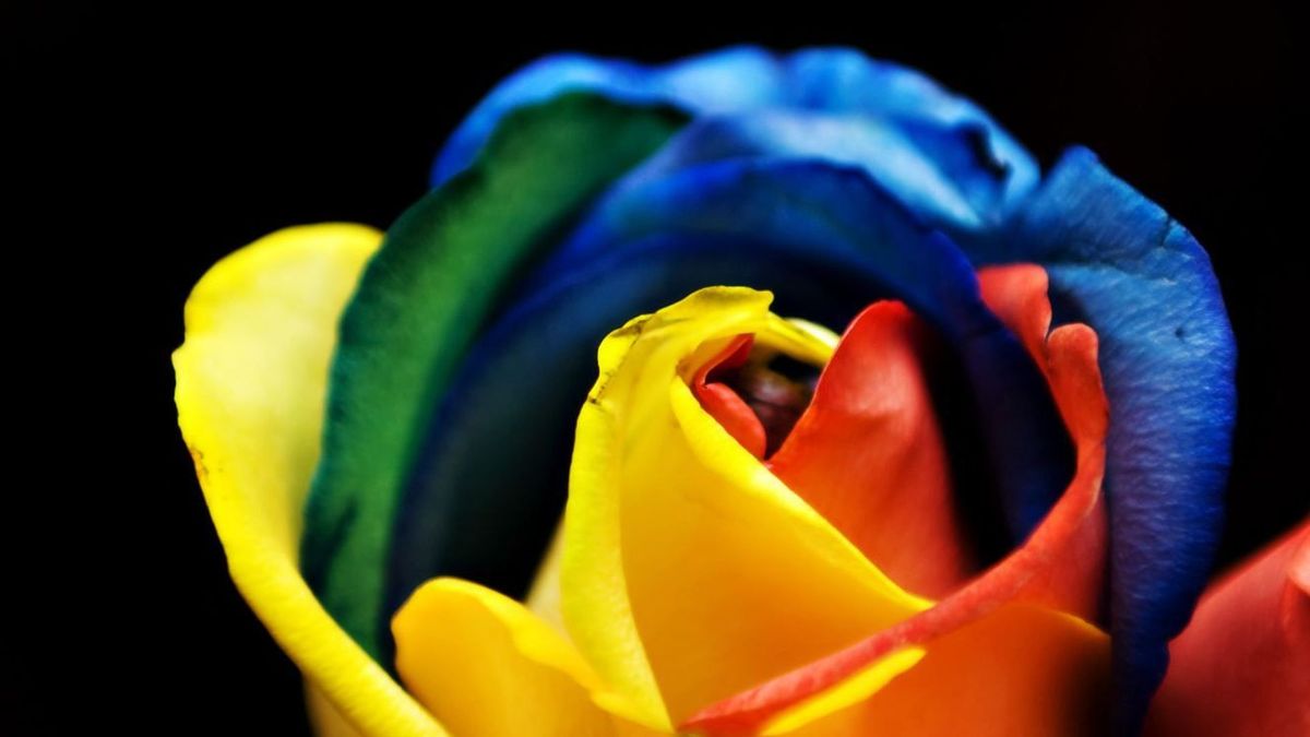 What Flower Best Reflects Your Soul? | HowStuffWorks