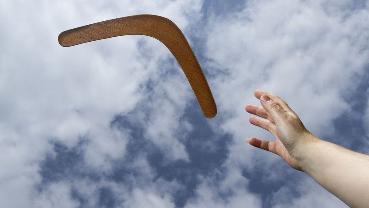 Australian Inventions Quiz | Zoo