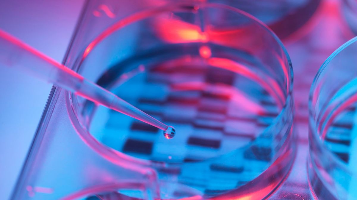 Basic Biology test! | HowStuffWorks