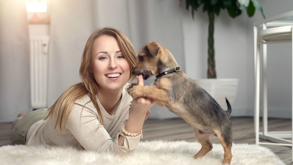 How Well Do You Really Know Your Dog? | Zoo