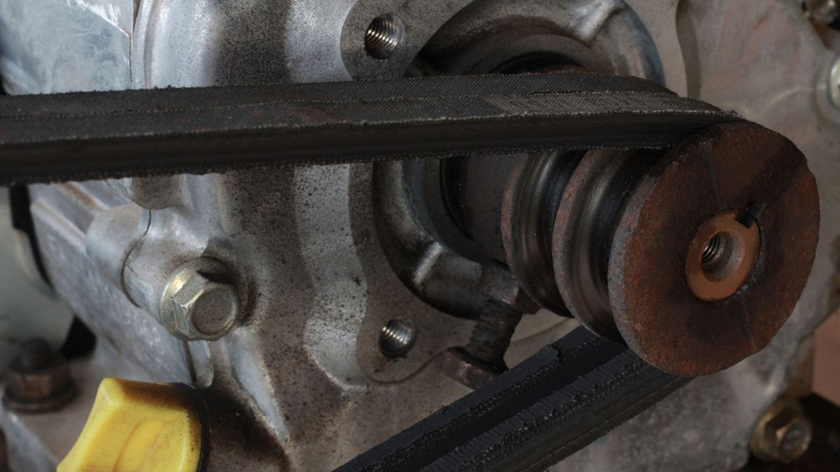 La prueba suprema de la reparación de motores pequeños. | Zoo