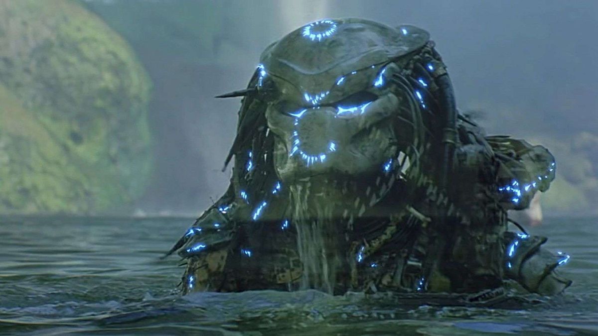 You can't hide from this ultimate Predator quiz! | Zoo