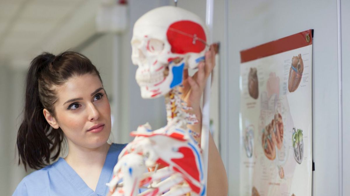 Can You Pass a Basic Anatomy Test? | HowStuffWorks