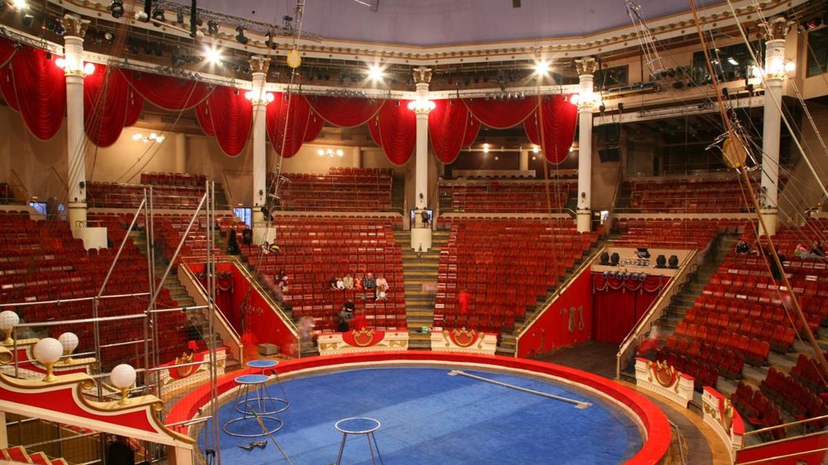 What Circus Act Should You Perform? | Zoo