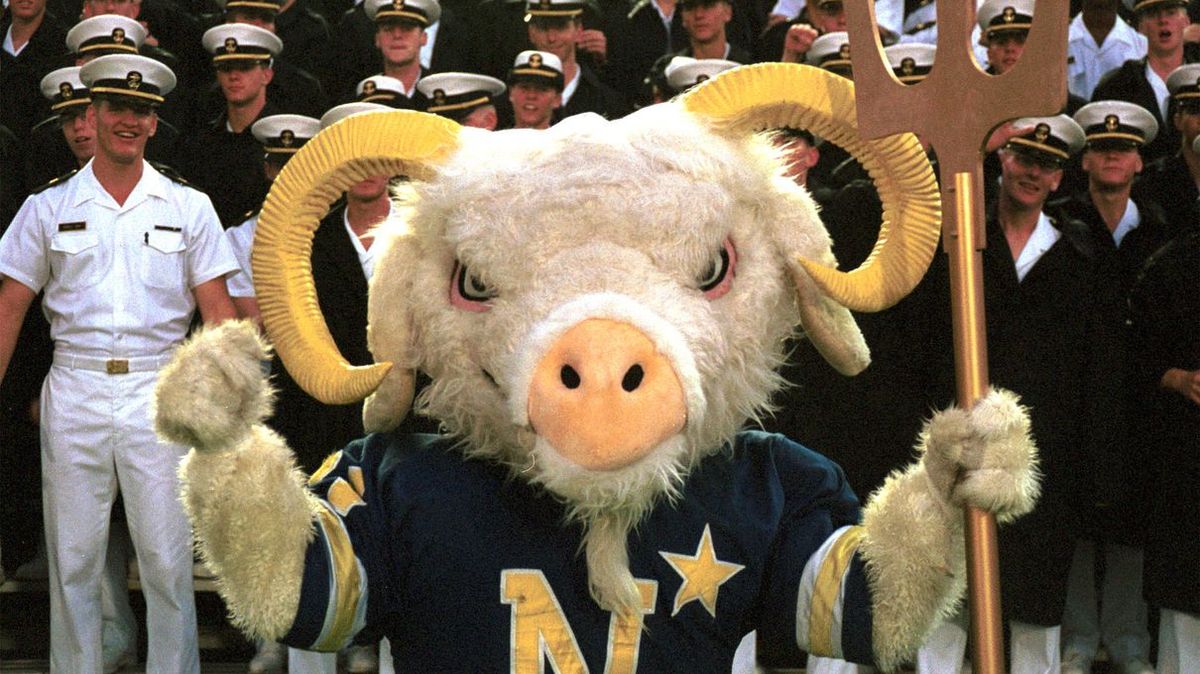 Which Random Animal Should Be Your Personal Mascot? | HowStuffWorks