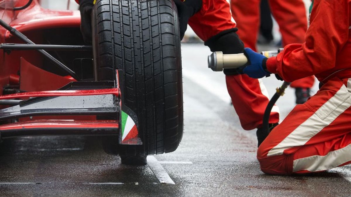 What's Your Pit Crew IQ? | Zoo